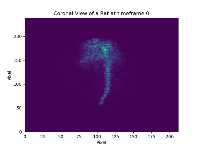 Rat - Philippe the future Medical Physicist/ My Personal Website